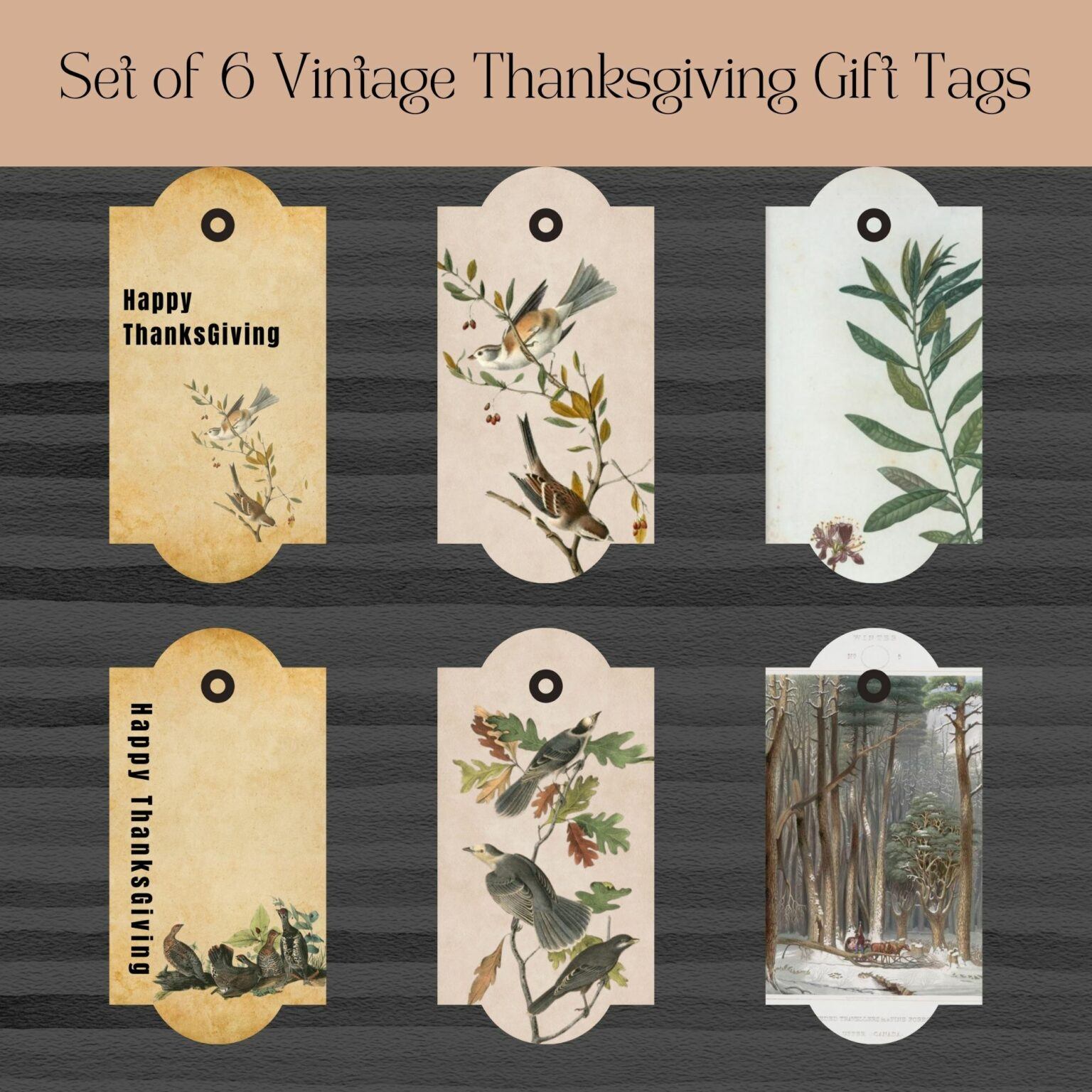 Set of 6 Vintage Thanksgiving Gift Tags | Cute Printable